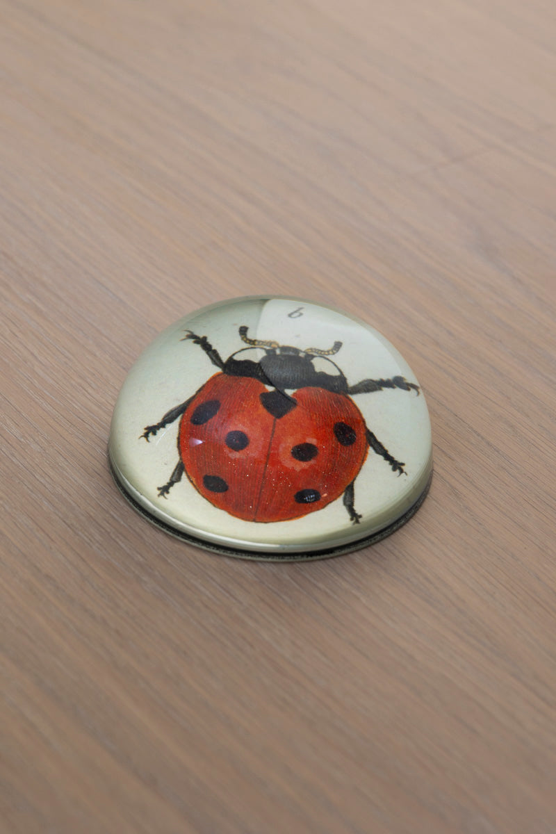 Papirvekt - Decoupage Red Ladybug – Bolina